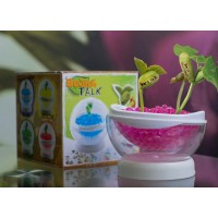 "Happy Birthday" Grow A Message "Beans Talk" Pod | Baskets Galore COM